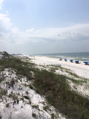 THE CRUST - Updated May 2026 - Dunesider Pool, Santa Rosa Beach ...