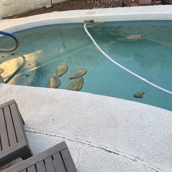 TREE MONKEY TREE TRIMMING - Updated September 2025 - 109 Photos & 67 ...