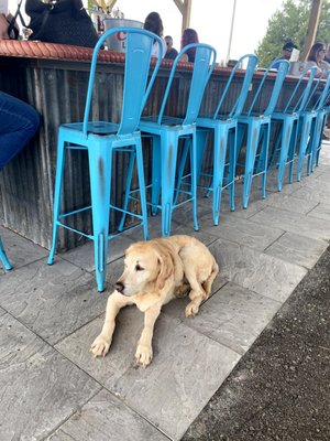 BAIT BOX RESTAURANT - Updated October 2024 - 41 Photos & 40 Reviews ...