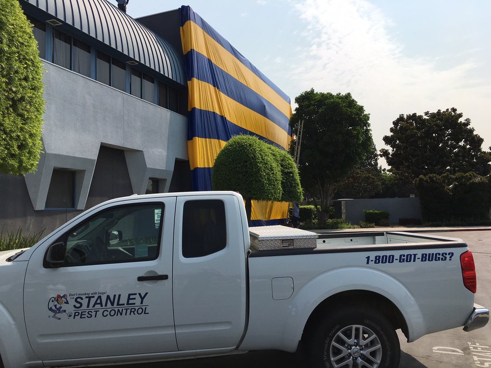 STANLEY PEST CONTROL - Updated June 2026 - 23 Photos & 58 Reviews ...