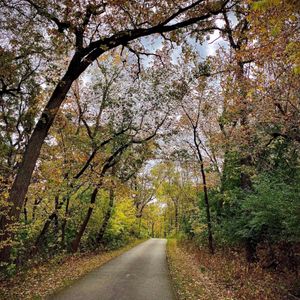 BEMIS WOODS AND FOREST PRESERVE - Updated May 2024 - Ogden Ave, Western ...