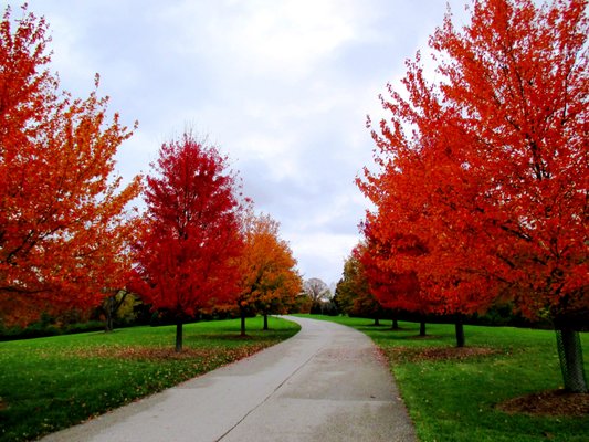 FRENCH PARK - Updated March 2026 - 109 Photos & 25 Reviews - 3012 ...