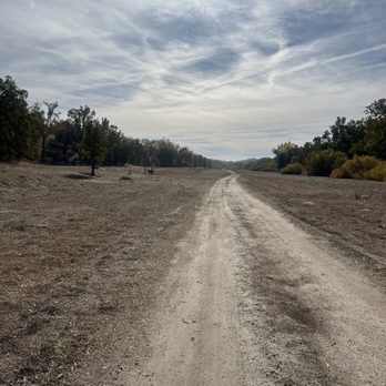 SEQUOIA RESORT & RV PARK - Updated September 2025 - 159 Photos & 37 ...