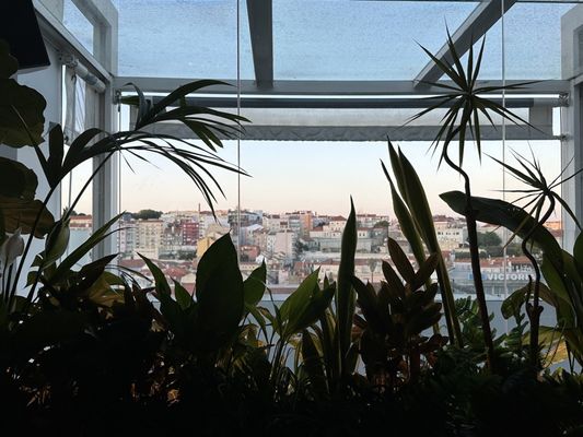 SEEN - Updated January 2026 - 92 Photos & 36 Reviews - Av. da Liberdade ...