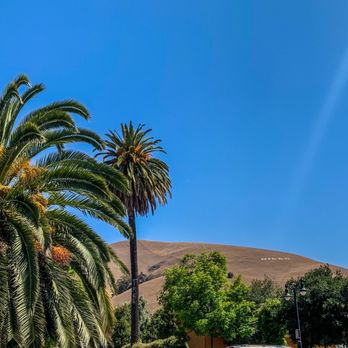 TOWN OF NILES - Updated December 2025 - 337 Photos & 48 Reviews ...