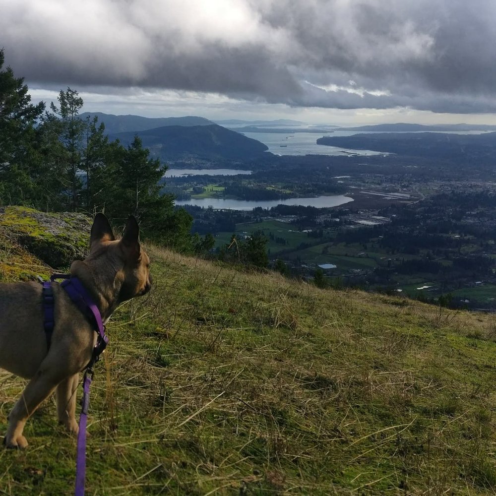 MOUNT PREVOST - Updated January 2025 - Mt Prevost Rd, Westholme ...