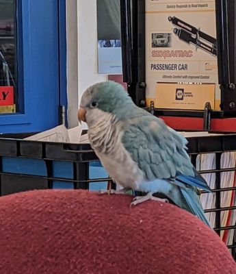 SOUTH MAIN AUTO SERVICE - Updated December 2025 - 15 Photos & 46 ...