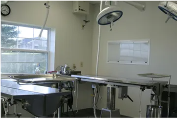 PATTON VETERINARY HOSPITAL - Updated March 2025 - 24 Photos & 36 ...