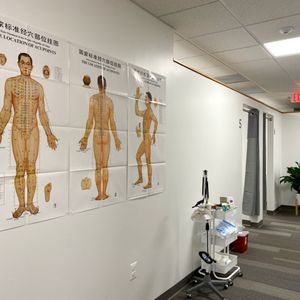 ARTHUR YIN FAN, CMD PHD LAC - Updated January 2025 - 8214 Old ...