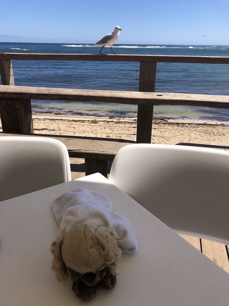 WHITE ELEPHANT BEACH CAFE - Updated August 2025 - 43 Photos & 18 ...