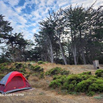 BODEGA DUNES CAMPGROUNDS - Updated October 2025 - 311 Photos & 108 ...