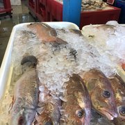 SONIA’S SEAFOOD RESTAURANT - 109 Photos & 80 Reviews - Seafood Markets ...