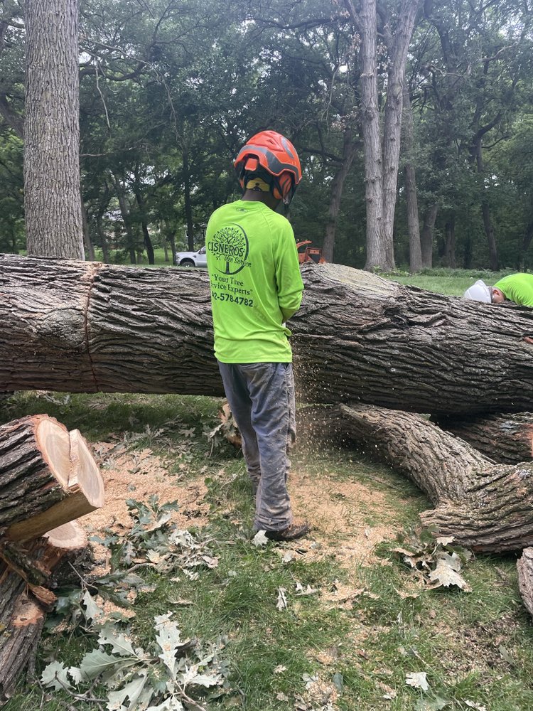 CISNEROS TREE SERVICE - Updated February 2025 - 43 Photos - 1010 S 25th ...