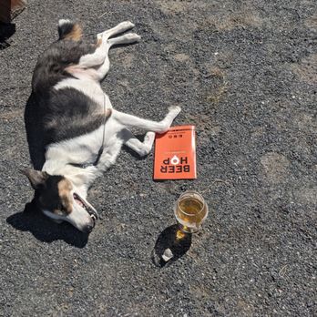 ANGRY SCOTSMAN BREWING - Updated May 2024 - 98 Photos & 55 Reviews ...