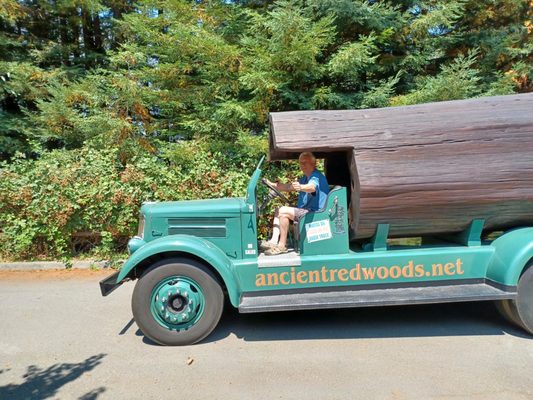 ANCIENT REDWOODS RV PARK - Updated October 2025 - 91 Photos & 32 ...