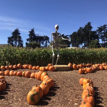 CRYSTAL BAY FARM - Updated June 2025 - 154 Photos & 74 Reviews - 40 ...