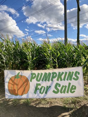 FOUR TOWN FARM - Updated September 2025 - 129 Photos & 87 Reviews - 90 ...