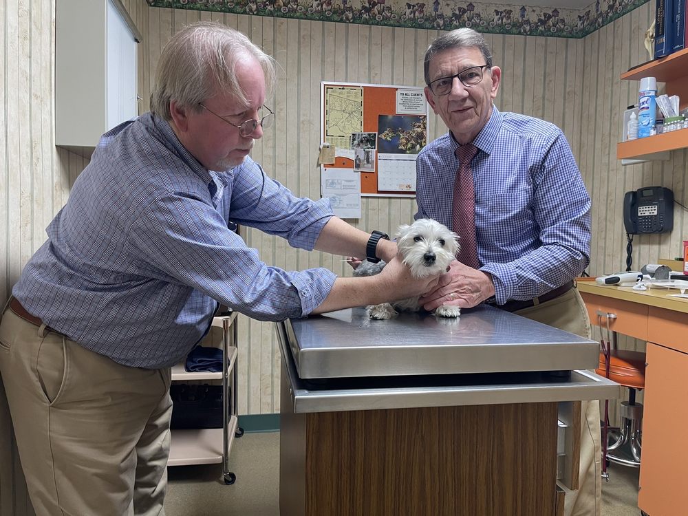 COLONIAL ANIMAL HOSPITAL - Updated September 2025 - 12 Reviews - 4 S ...