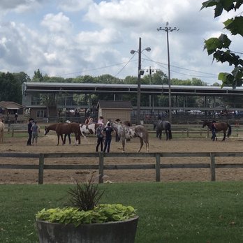 BERRIEN COUNTY YOUTH FAIR - Updated December 2025 - 54 Photos - 9122 US ...