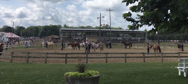BERRIEN COUNTY YOUTH FAIR - 34 Photos - 9122 US Hwy 31, Berrien Springs ...