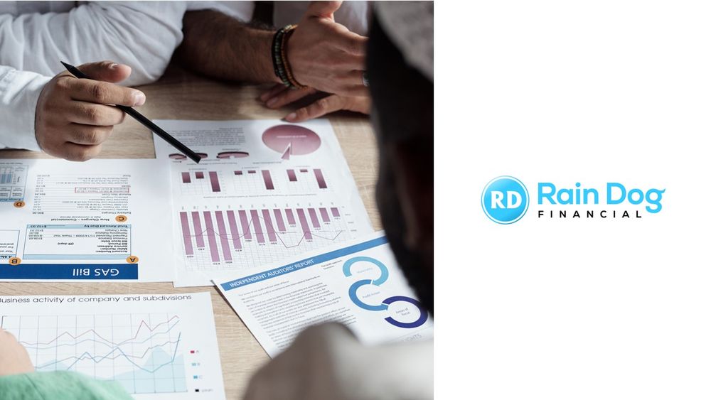 RAIN DOG FINANCIAL - Updated July 2025 - Request Consultation - 10 ...