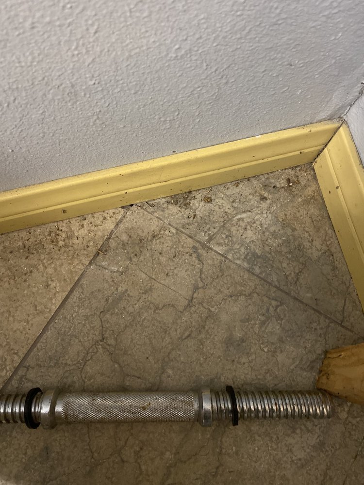 ATI RESTORATION - Updated May 2025 - 19 Photos & 19 Reviews - 1175 Hall ...