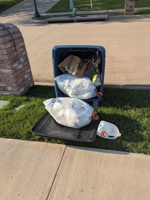 COMMUNITY WASTE DISPOSAL - Updated December 2025 - 24 Photos & 58 ...