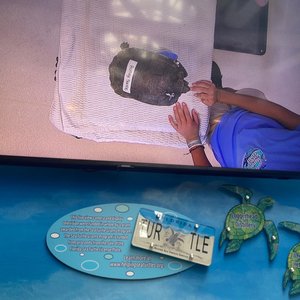 MARINE SCIENCE CENTER - 157 Photos & 73 Reviews - 100 Lighthouse Dr ...