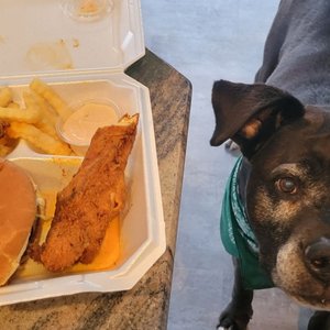 CRAZY D’S HOT CHICKEN - 43 Photos & 70 Reviews - 101 University Ter ...