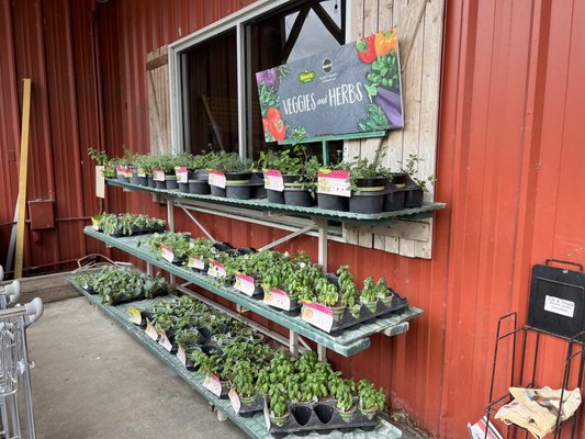 RED BARN FEED & SUPPLY - Updated December 2025 - 22 Photos & 21 Reviews ...