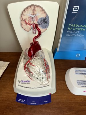 PREMIER CARDIOLOGY - Updated January 2026 - 34 Reviews - 520 Superior ...