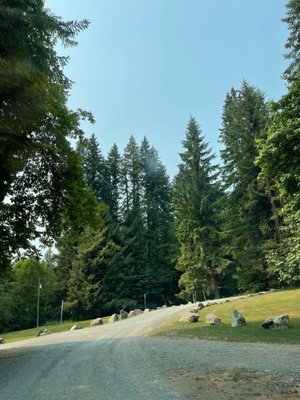 Lake Roesiger Park - Trusted Since 2011 - Updated July 2025 - 1608 S ...