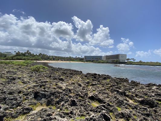 TURTLE BAY BEACH - 363 Photos & 135 Reviews - 57-35 Kuilima Dr, Kahuku ...