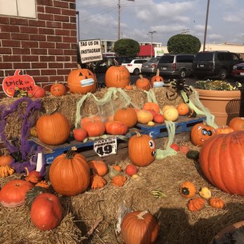 LEWIS FRESH MARKET - Updated September 2025 - 53 Photos & 81 Reviews ...