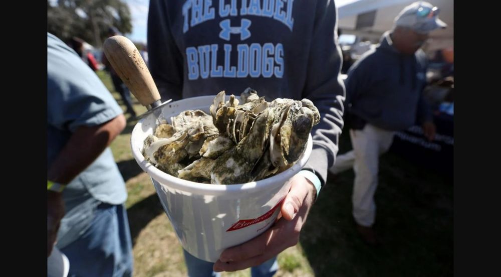 LOWCOUNTRY CATERING - Charleston, South Carolina - Caterers - Phone ...