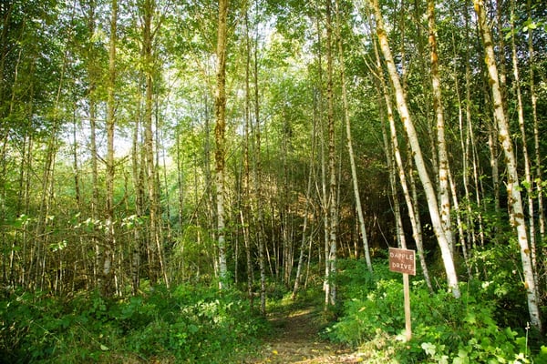 THOUSAND TRAILS CHEHALIS - Updated January 2026 - 15 Photos - 2228 ...