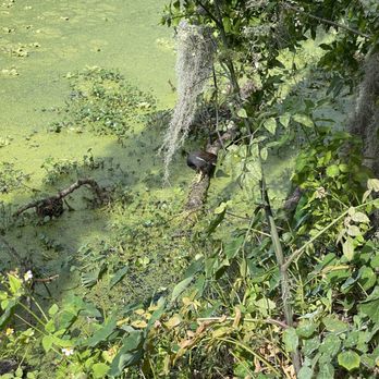 CIRCLE B BAR RESERVE - Updated February 2025 - 581 Photos & 125 Reviews ...