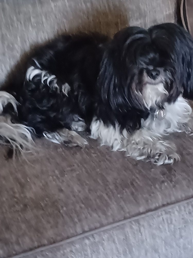 KPIX CBS 5 NEWS - Updated December 2025 - 20 Photos & 95 Reviews - 855 ...