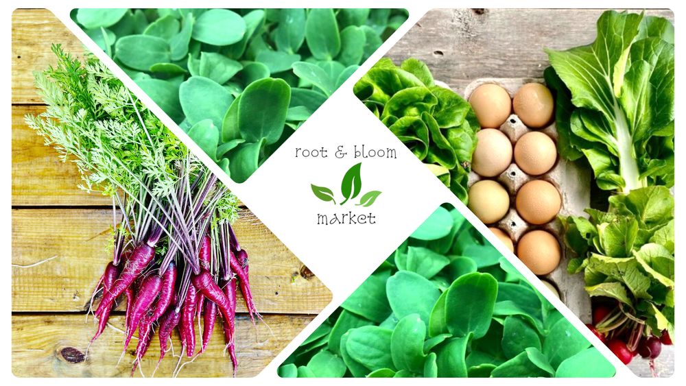 ROOT AND BLOOM MARKET - Updated July 2025 - 68 Boundary St, Bluffton ...
