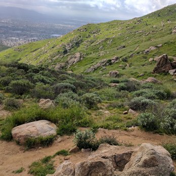 BOX SPRINGS MOUNTAIN RESERVE - Updated December 2025 - 319 Photos & 61 ...