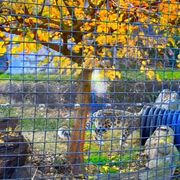 MICKE GROVE PARK - 116 Photos & 50 Reviews - Parks - 11793 N Micke ...