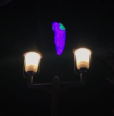 NEW YEAR’S EVE GRAPE DROP - Updated November 2024 - 10 Photos - 41000 ...