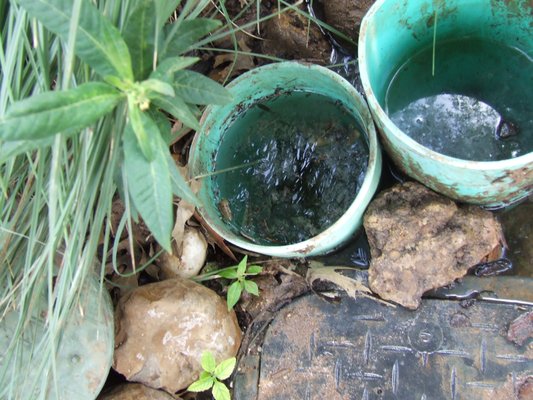 STRAND BROTHERS SERVICE EXPERTS - Updated December 2025 - 42 Photos ...