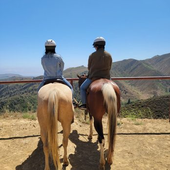 CIRCLE BAR B STABLES - Updated April 2025 - 695 Photos & 476 Reviews ...