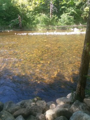 CAMPING ON THE BATTENKILL - 14 Photos - 48 Camping On Battenkill ...