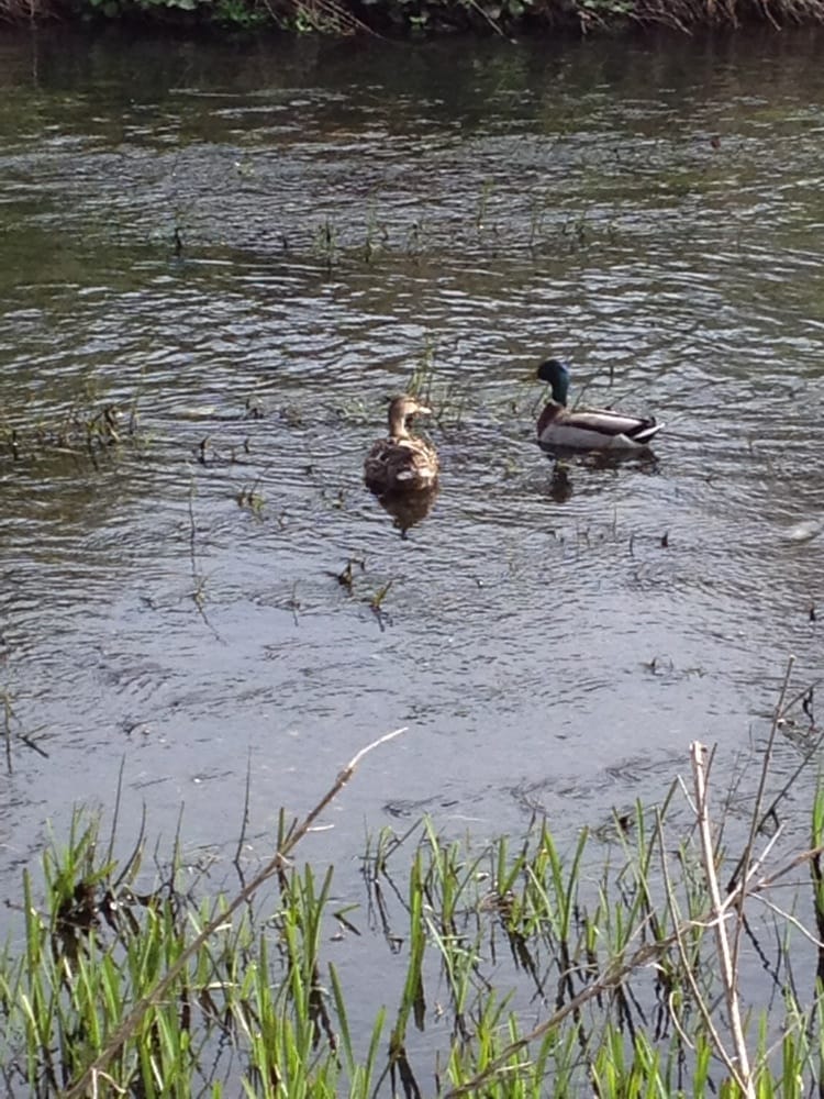 RODING VALLEY PARK - Updated July 2024 - Redbridge, London, United ...