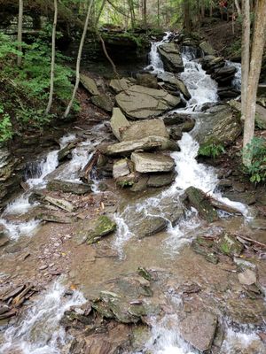 LEONARD HARRISON STATE PARK - 34 Photos & 11 Reviews - Parks - 4797 Rte ...