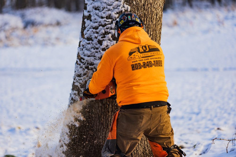 K&J TREE SERVICE - Updated December 2025 - 61 Photos & 38 Reviews - 2 ...