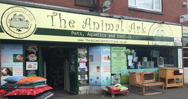 THE ANIMAL ARK PET STORE - Updated July 2025 - 86 High Street ...