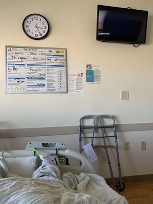 ABRAZO SCOTTSDALE CAMPUS - Updated January 2026 - 44 Photos & 255 Real ...